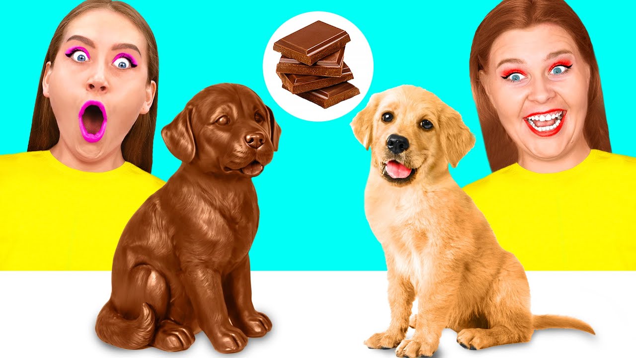 Real Food vs Chocolate Food Challenge | Epic Food Battle by Fun Fun ...