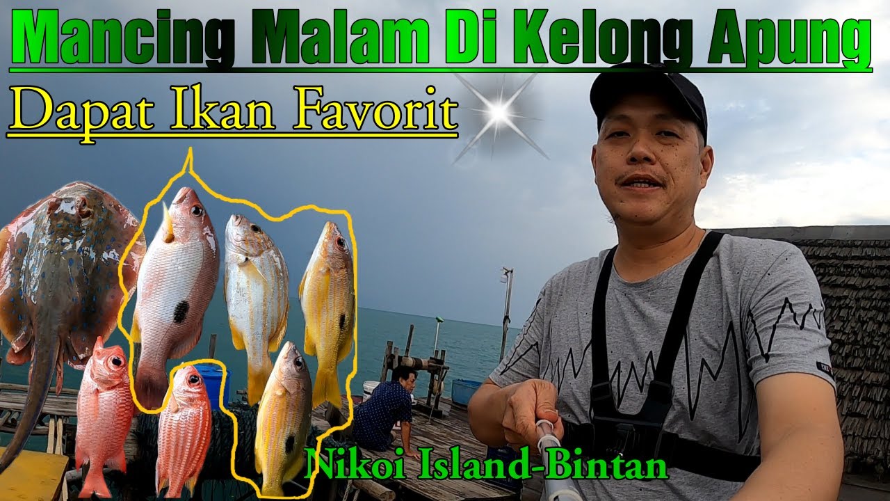 Mancing Ikan Karang Di Kelong Apung ll Sensasi Narek Ikan Tanda ll ...