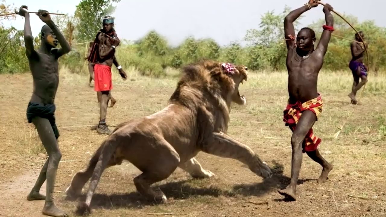 People vs Lion - YouTube