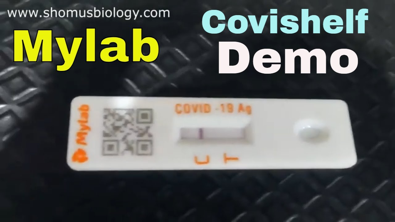 Mylab covid 19 rapid test kit - testing coviself, Mylab covid 19 rapid ...