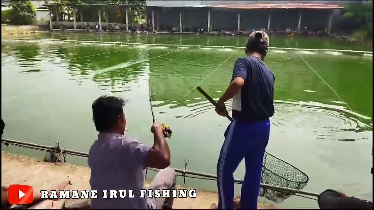 Mancing Galapung Bawal Sensasi Full Strek Babon Yang Luar Biasa Part II - YouTube