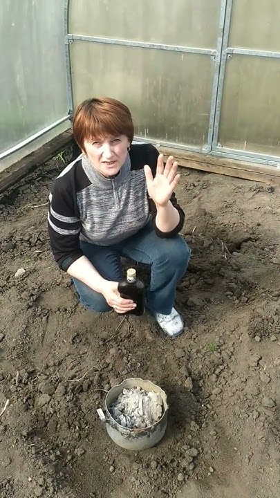 Дымовая шашка из дегтя для теплицы. - YouTube