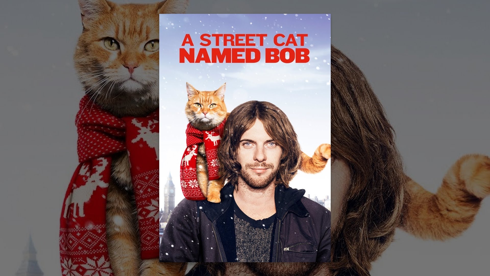 A Street Cat Named Bob YouTube a-street-cat-named-bob-youtube