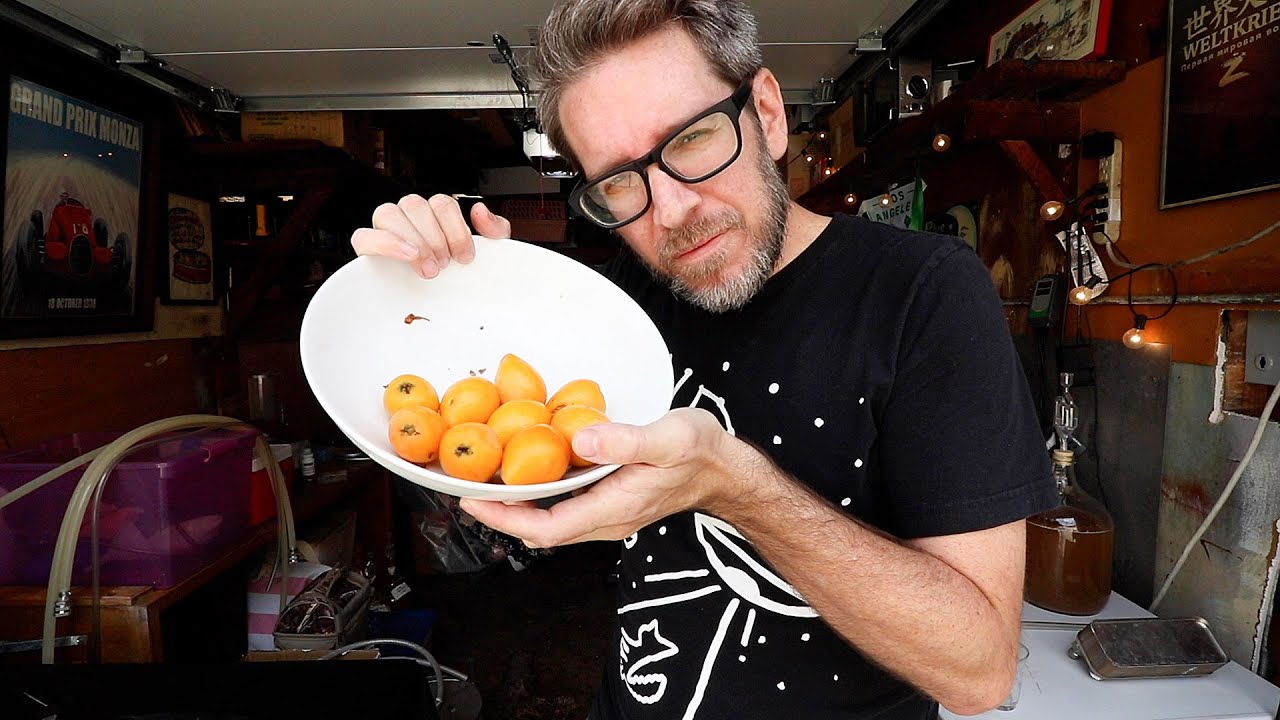 How much is too much loquat in a beer? - YouTube