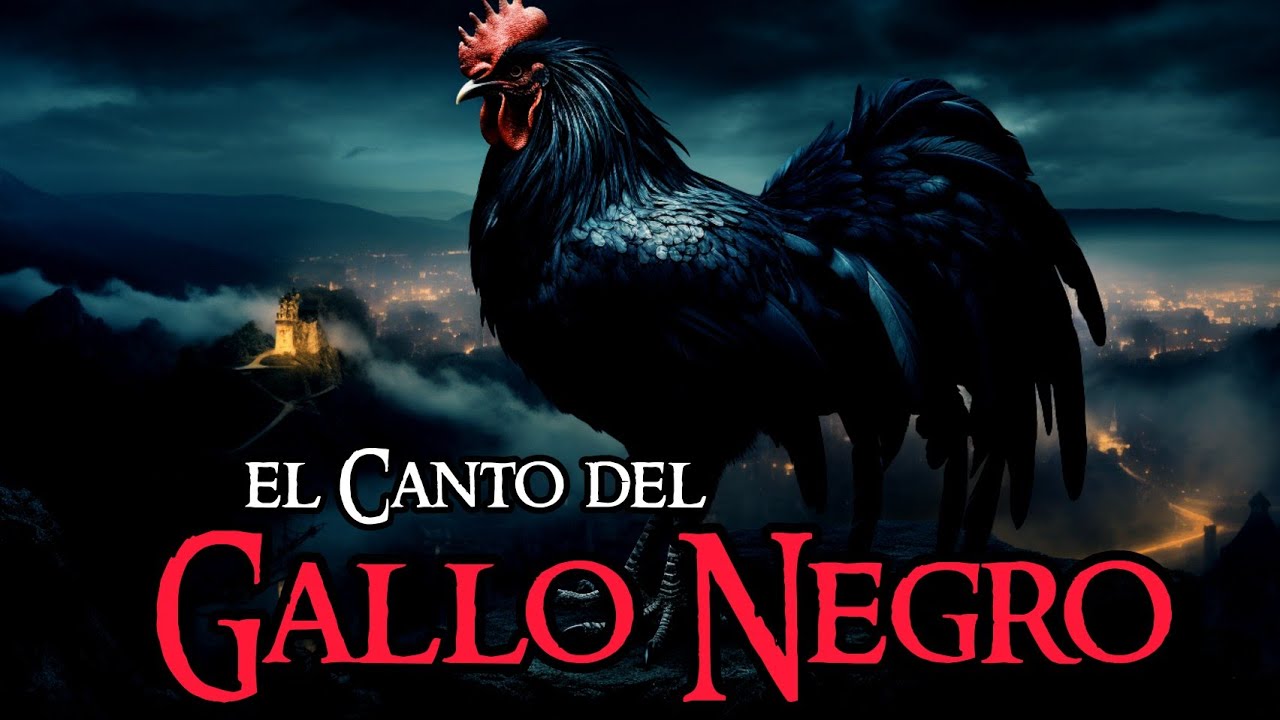 EL CANTO DEL GALLO NEGRO | NADIE SABE DE DONDE LLEGÓ, TODOS TEMEN DE ...