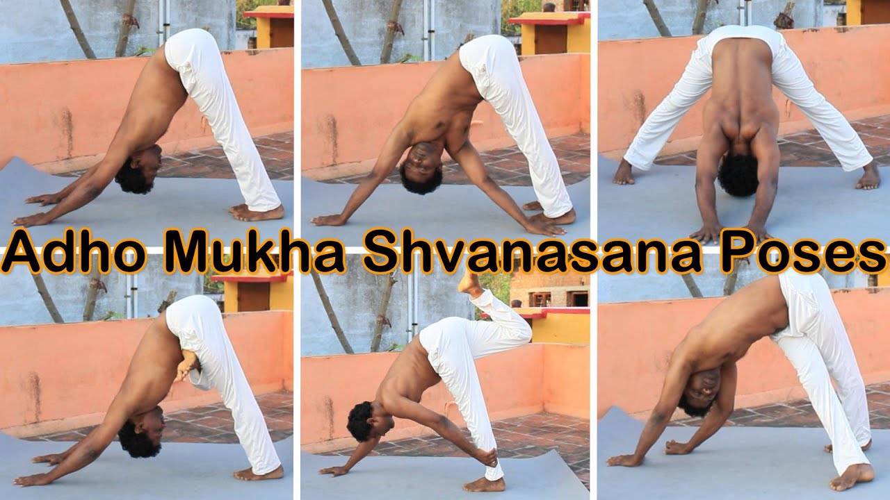 Adho mukha shvanasana yoga benefits, precautions and variations ...