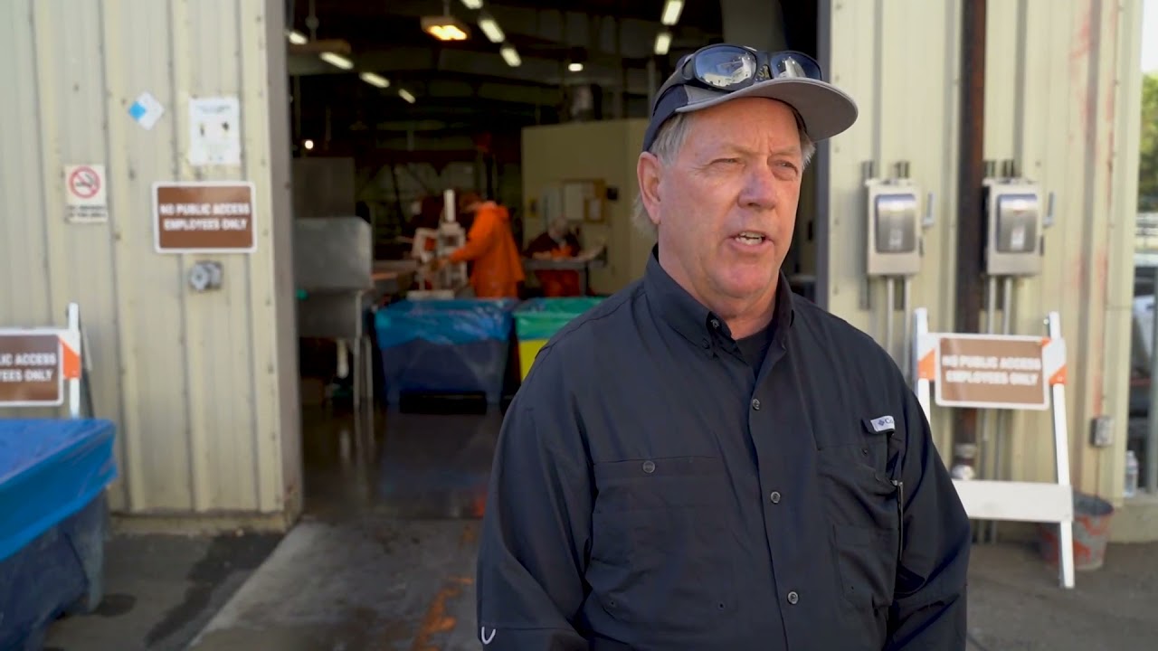 Coleman Hatchery Takes Giant Step to Restore Sacramento River Salmon ...