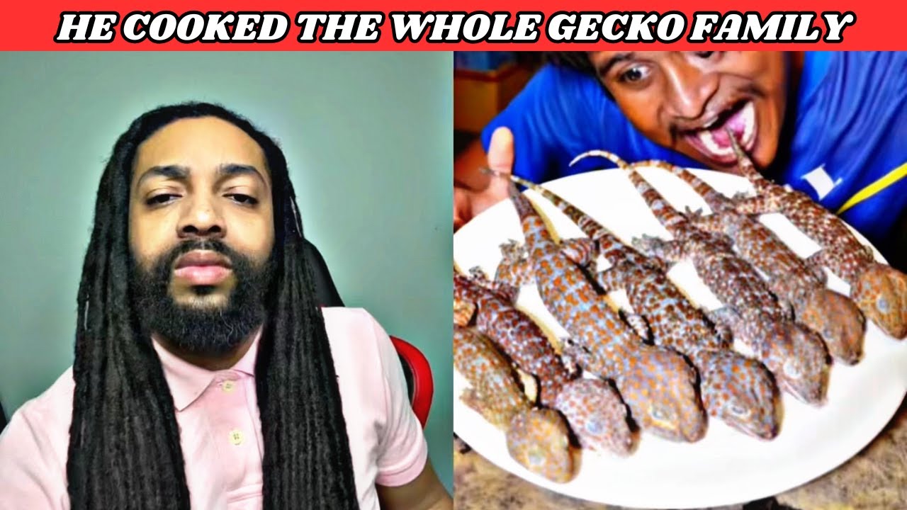 Turning a Gecko Family into Exotic Dinner! | Spicy Fried Gecko Recipe ...