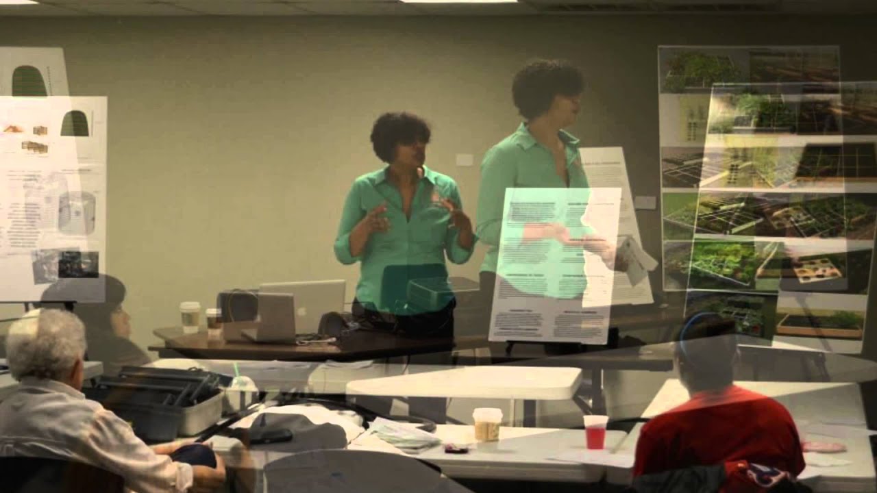 Delta Alpha Omega Graduate Chapter of Alpha Kappa Alpha Sorority, Inc ...