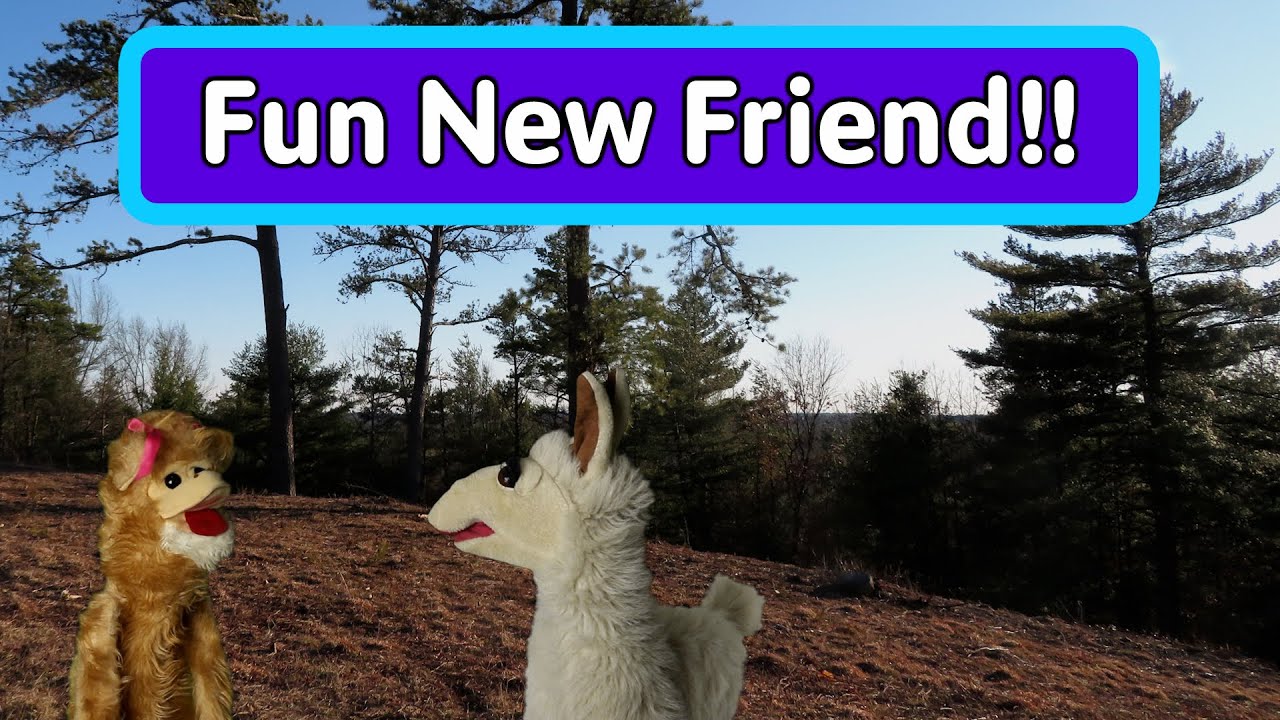The Llama Show - Llama finds a new friend who loves bouncing around the ...