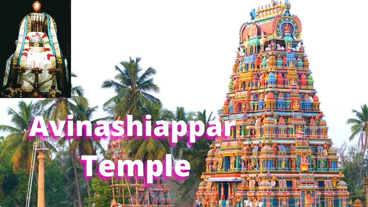 அவினாசி லிங்கேஸ்வரர் கோவில் தல வரலாறு/Avinashiappar Temple - YouTube