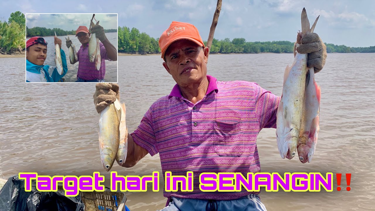 Menjaring IKAN SENAGIN / SELUBAL - YouTube