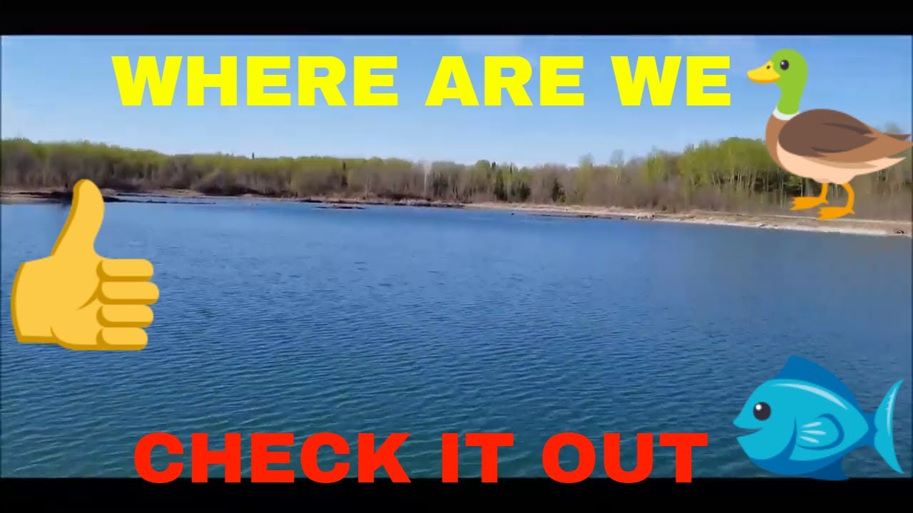 COME JOIN US FOR A DAY IN THE COUNTRY CHECK OUT REYNOLDS PONDS IN ...