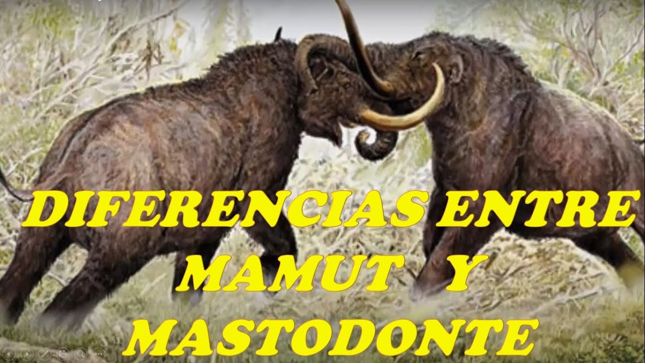 MAMUT Y MASTODONTE - YouTube