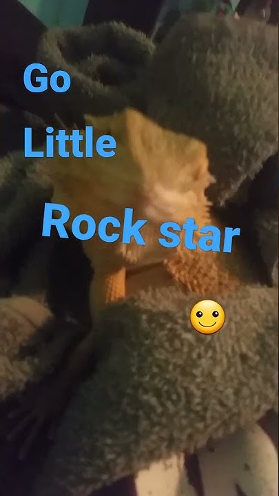 GO LITTLE ROCK STAR😆 - YouTube