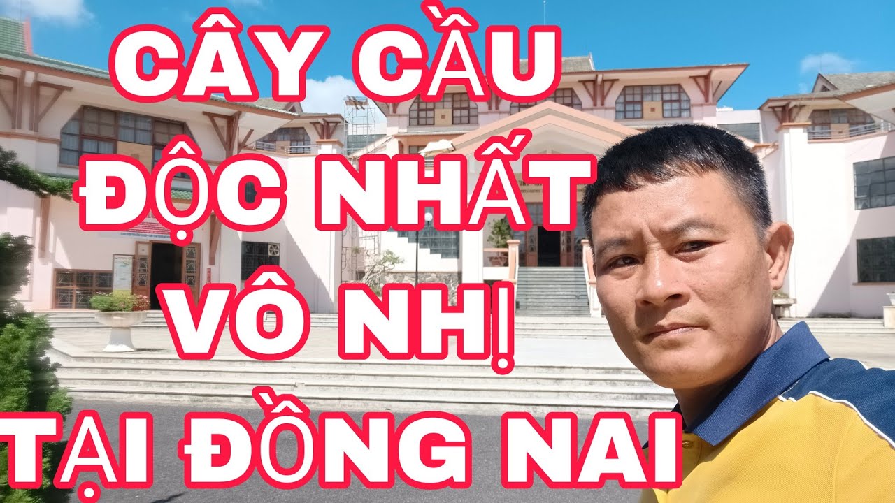 CÂY CẦU ĐỘC NHẤT VÔ NHỊ TẠI ĐỒNG NAI CÓ GÌ HAY? #CAUVAMCAISUT #CẦU ...