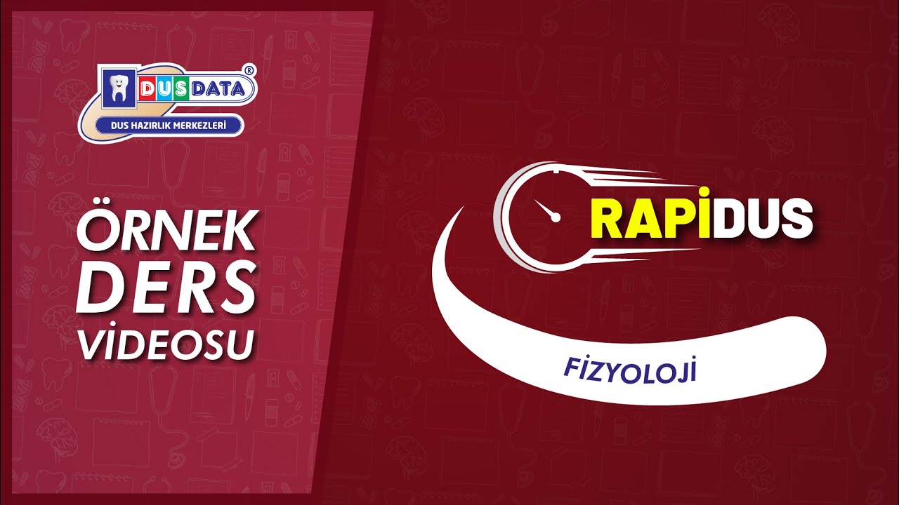 Rapidus Örnek Ders Videosu | Fizyoloji - YouTube