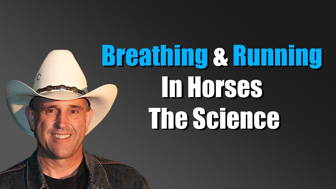 Equine Respiratory Diseases, Equine Coronavirus, EPM, And Gait Problems ...