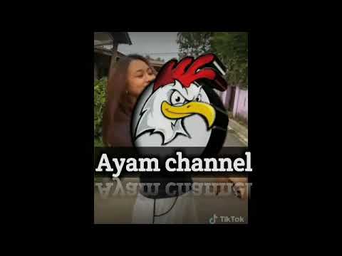 TOP 4 AWEK TIK TOK| #TIKTOK #GOYANMAUT