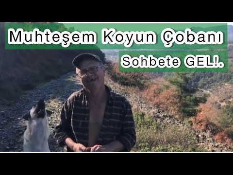 Köyde Koyun Çobancılığı Yapan Dayı ile Muhteşem Sohbet
