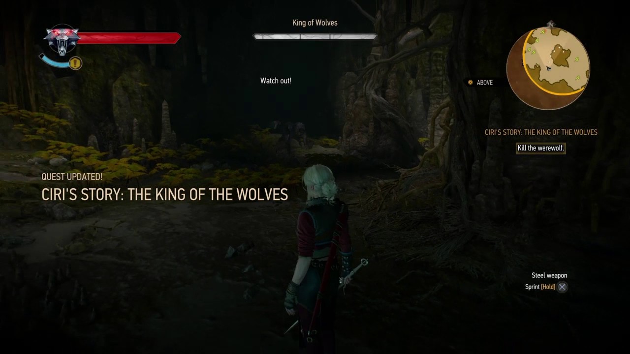 The Witcher 3 Wild Hunt : Ciri vs Werewolf on DEATH MARCH - YouTube