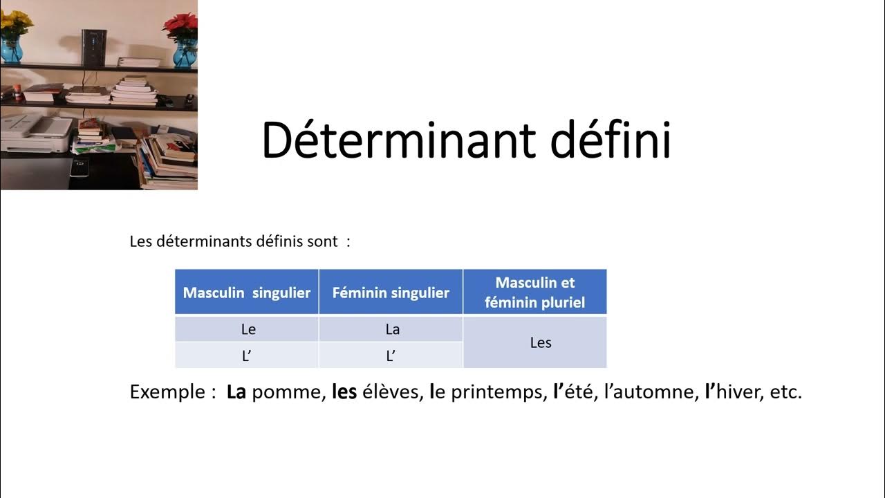 Déterminant défini, contracté, indéfini et partitif. - YouTube