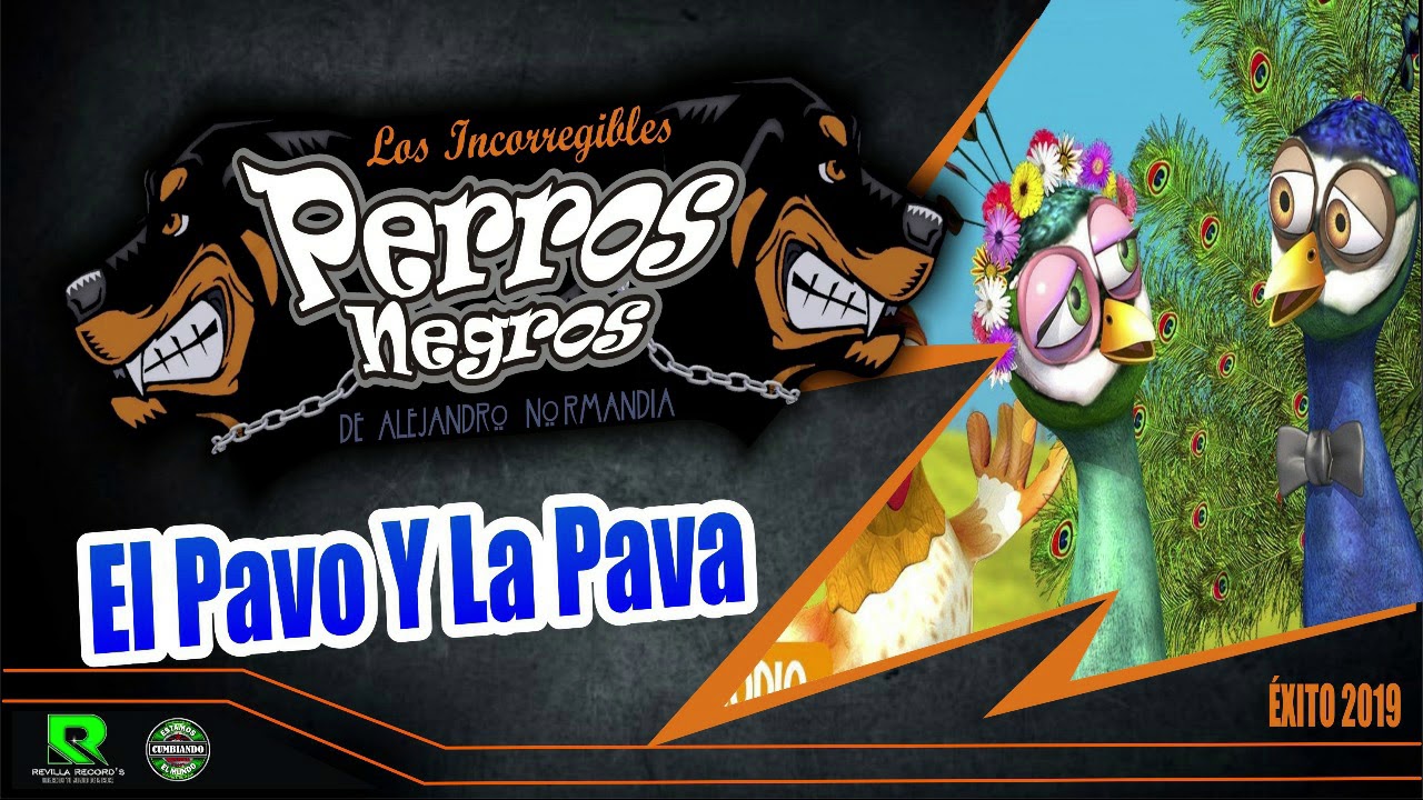 EL PAVO Y LA PAVA - LOS PERROS NEGROS-AUDIO OFICIAL EXCLUSIVO - YouTube