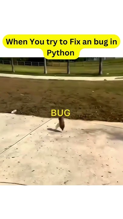 When You Try To Fix An Bug In Python Coding Pythonic Programming Python Codewithme Phython