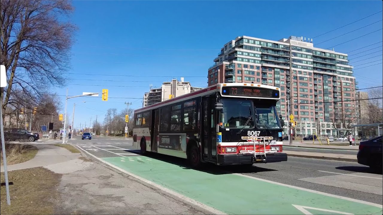 TTC 73 Royal York Bus Ride #8067 from Eglinton Ave West Back to Royal ...