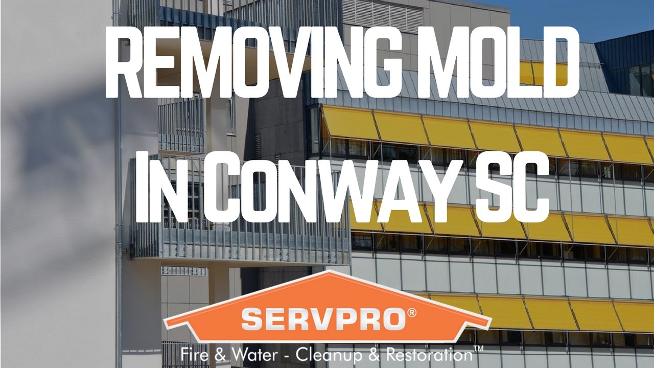 Mold Removal In Apartment Buildings | SERVPRO | Conway - YouTube