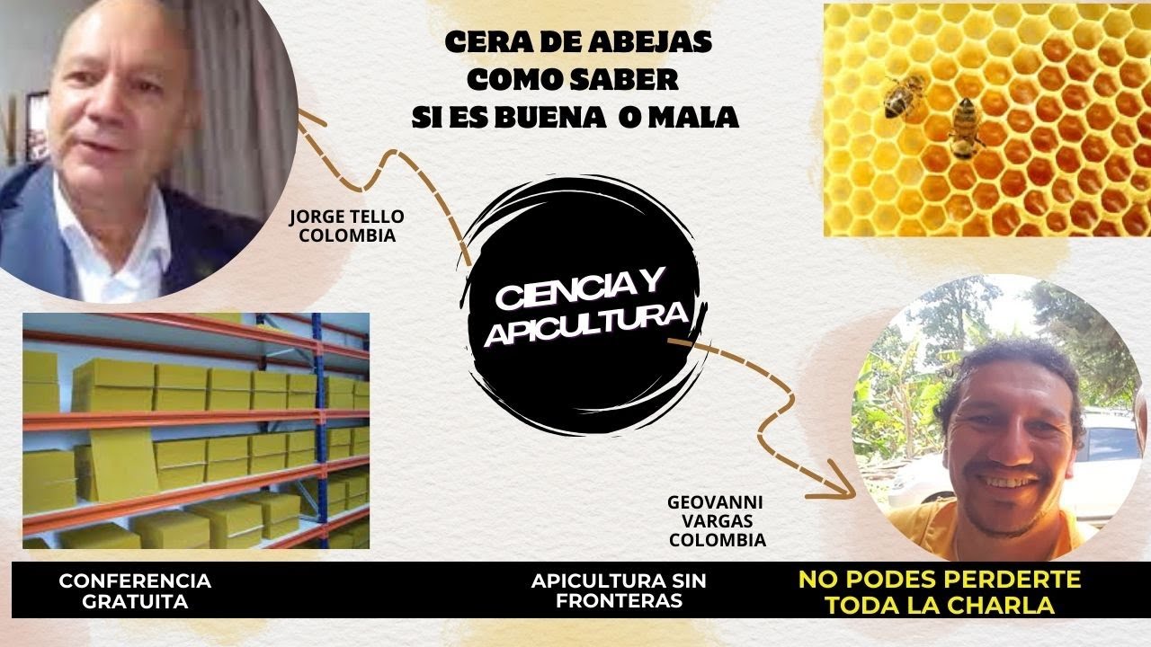 Como saber so la Cera de Abejas es de Buena o Mala Calidad - YouTube
