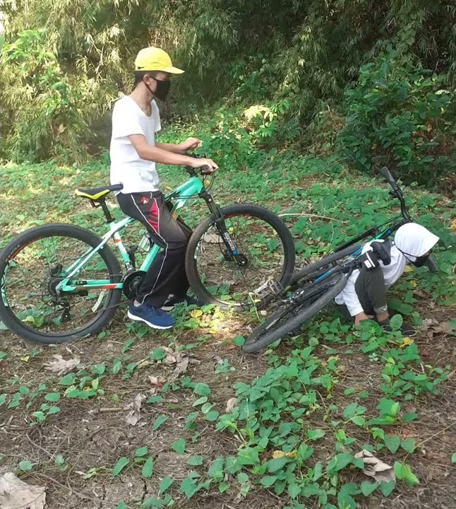 Polygon Cascade 4 2020 on gowes - YouTube