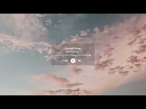 Ritmik Music - Anılarla Yolculuk (Official Audio)