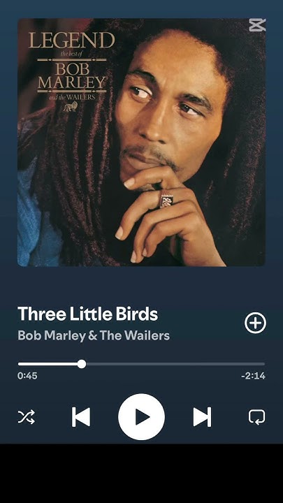 Three Little Birds | Bob Marley & The Wailers //Top song// #music # ...