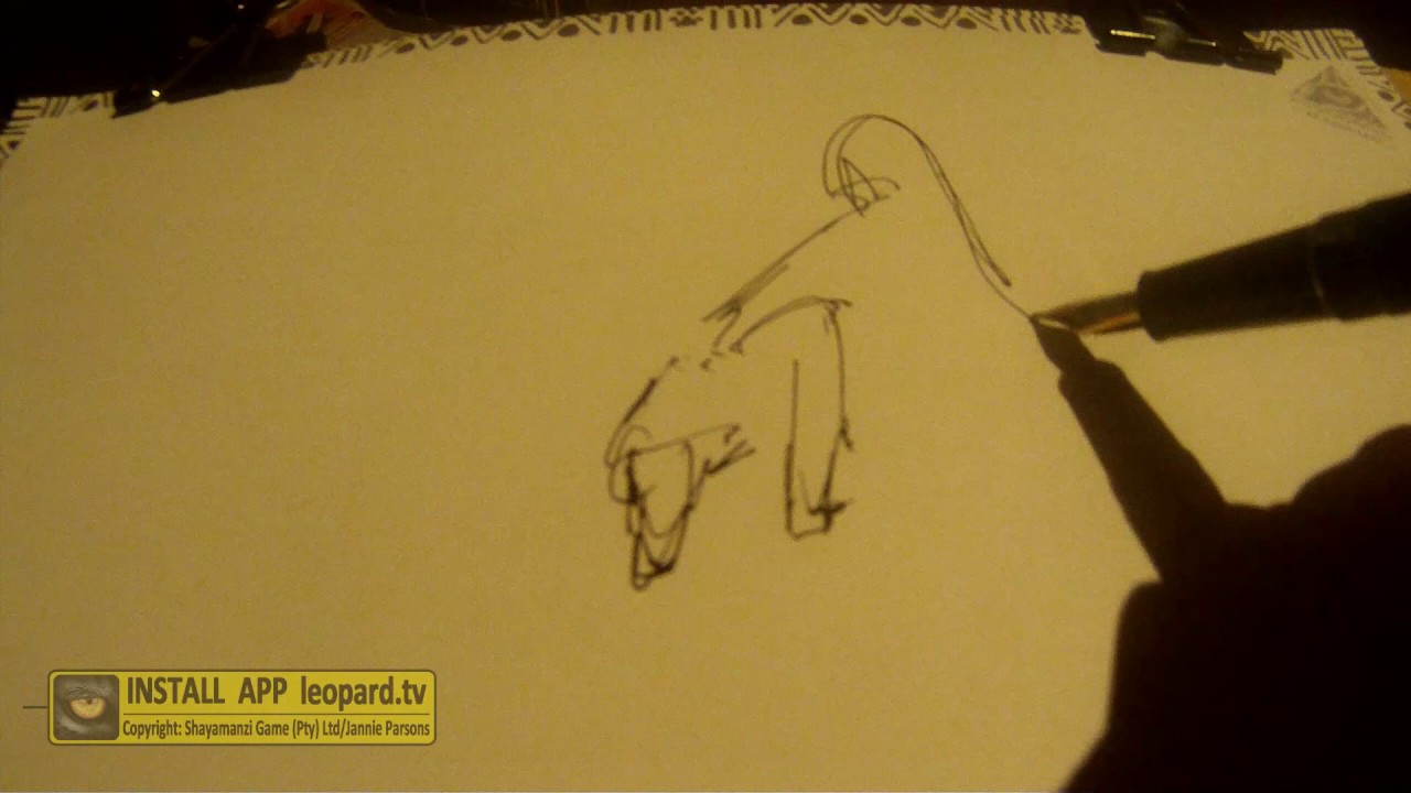 Baboon sketch - YouTube