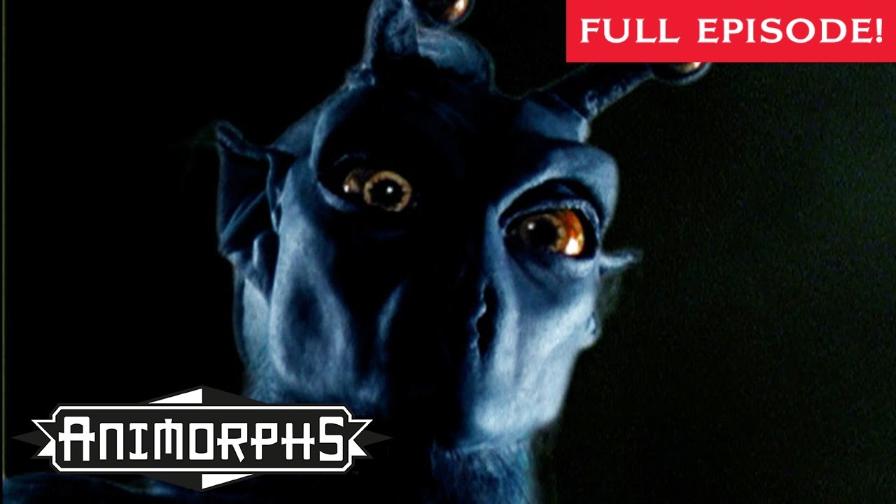 Animorphs Tv Show Morphing Animorphs: The Nickelodeon Series Was WAY