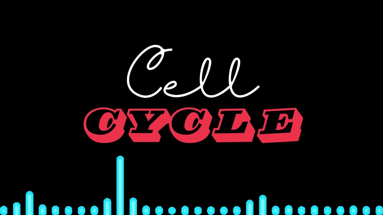 Cell Cycle | Meiosis | Song version | Biology - YouTube