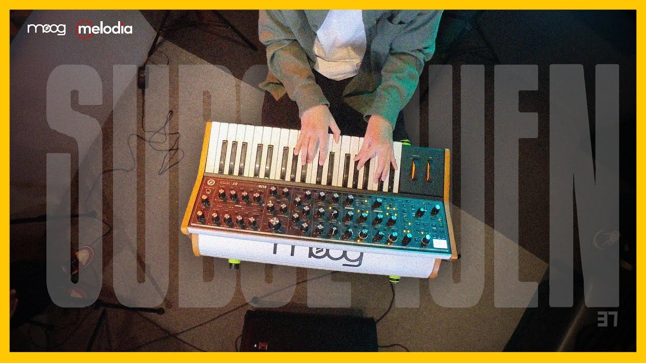 Moog Subsequent 37: Suara Legendaris yang Membawa Kreativitas Tanpa ...