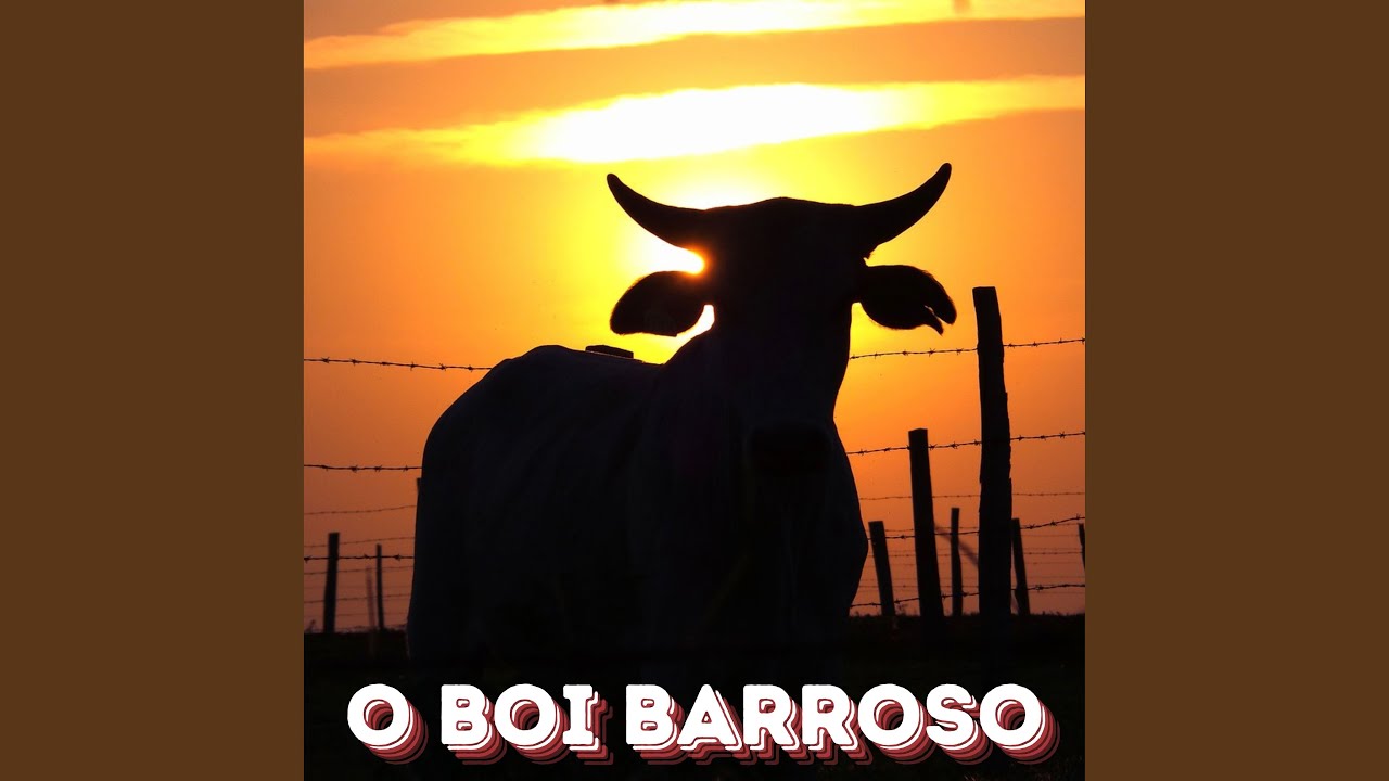 O BOI BARROSO - YouTube