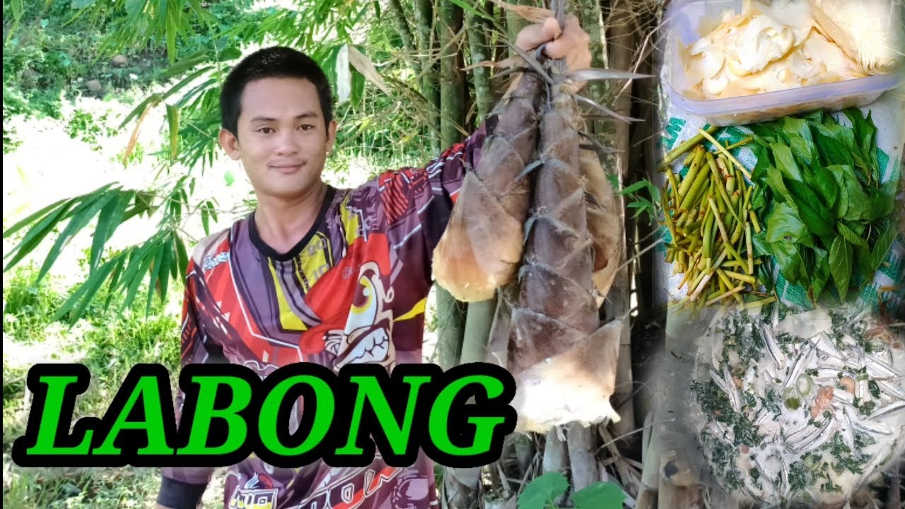 Labong Harvest(Bamboo shoots) Ivisan,capiz. - YouTube