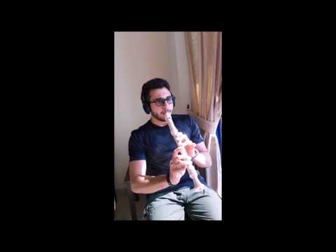 Despacito - Alto Recorder Flute Cover