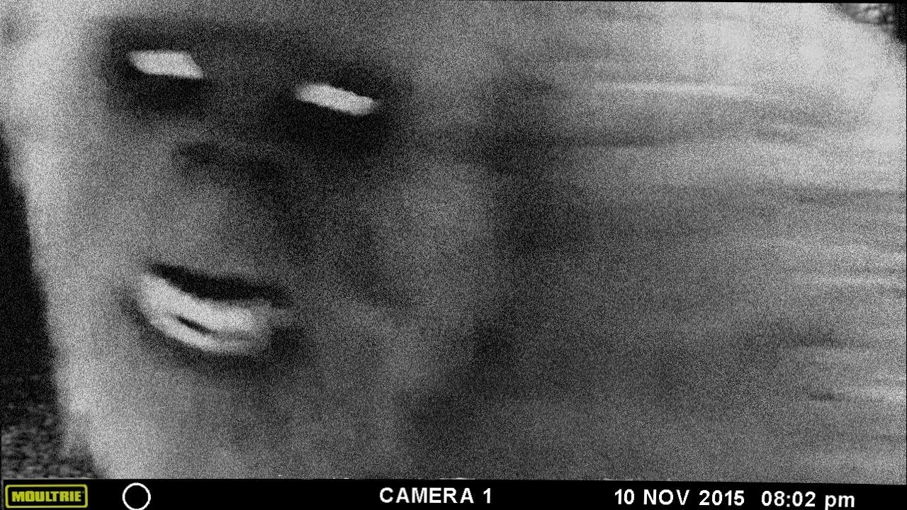 The most disturbing trail cam footage ever filmed - YouTube