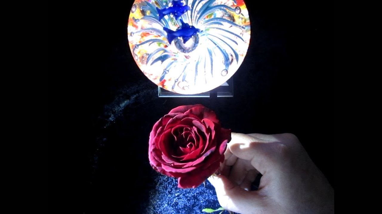 🥀Flower healing hypnosis🌹 (guided meditation, remove negativity/stress ...
