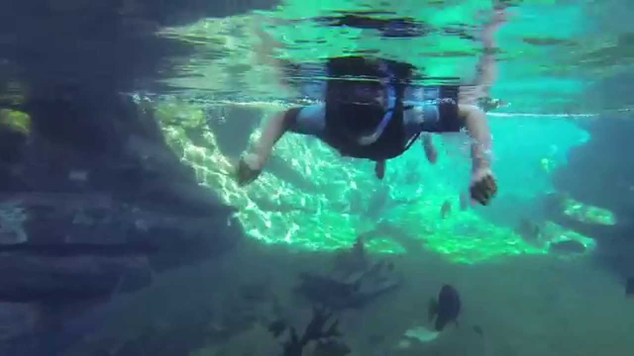 Snorkeling @ Ushaka Marine World in Durban, South Africa - YouTube