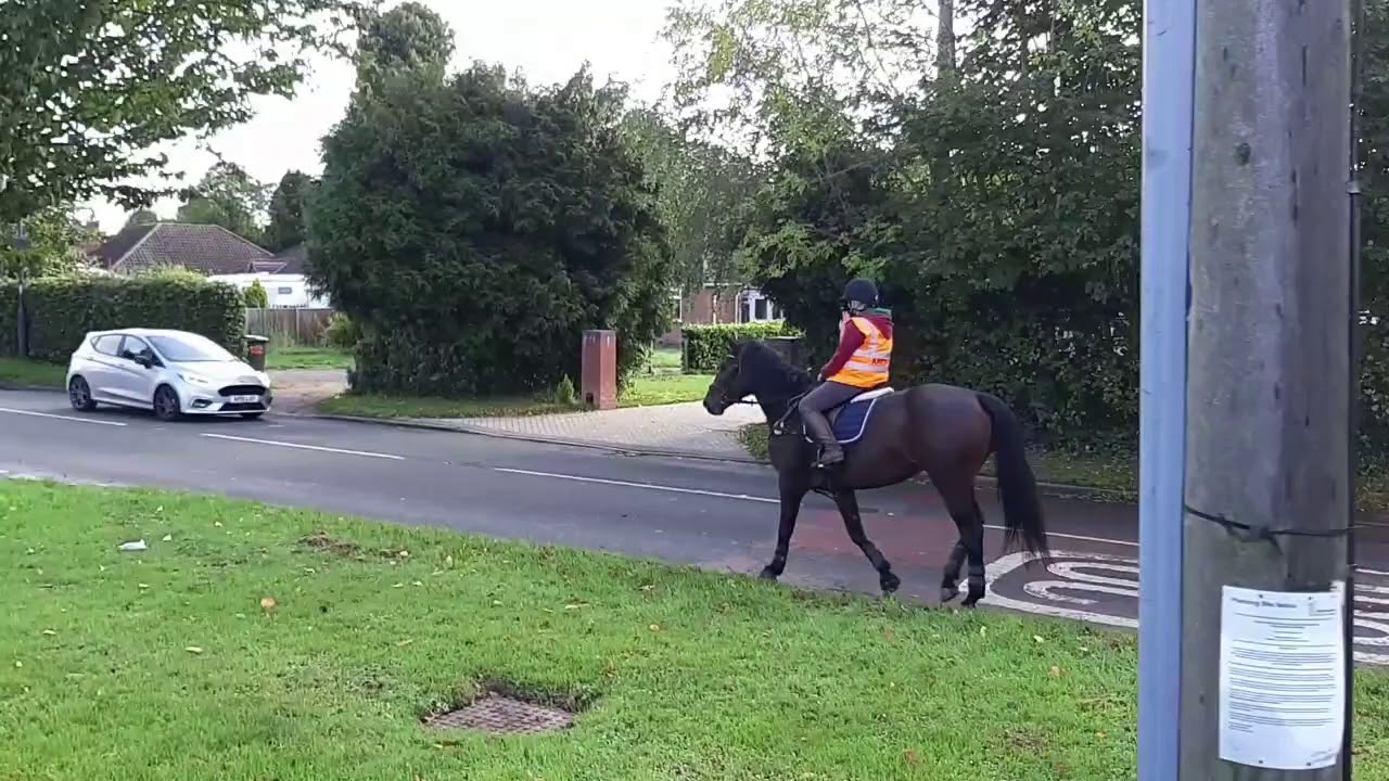 Wolf Hacking Combined videos - YouTube