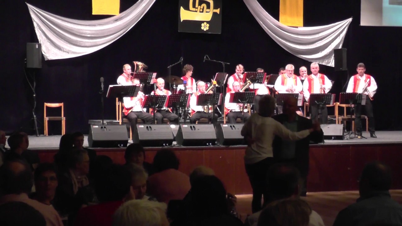 Muzikantsky Ples Hodonin 2017 Valaska Extra Podzimni-polka - YouTube