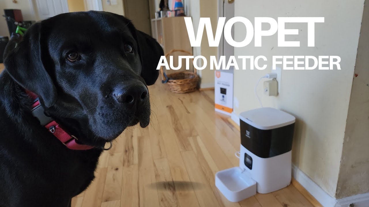 WOPET Dog Feeder | For Cats and Small/Medium Dogs - YouTube