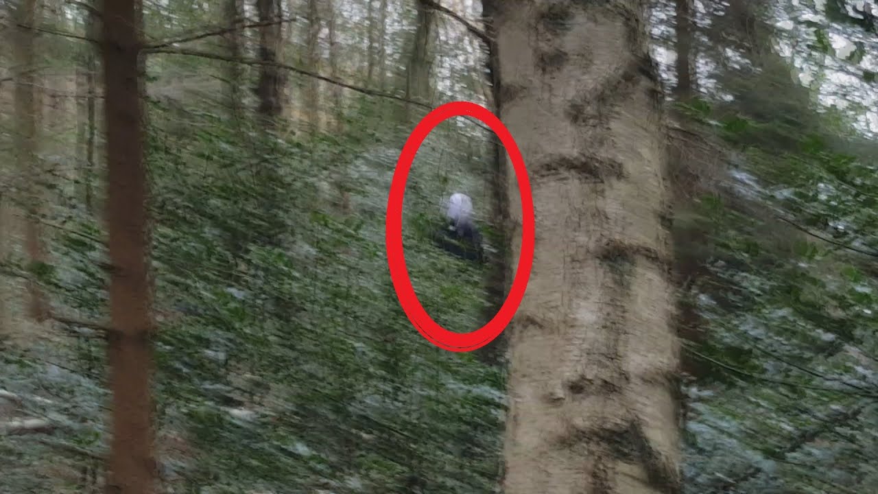[Entry#7] REAL SLENDERMAN SIGHTING CAUGHT ON TAPE 2016 !!! - YouTube