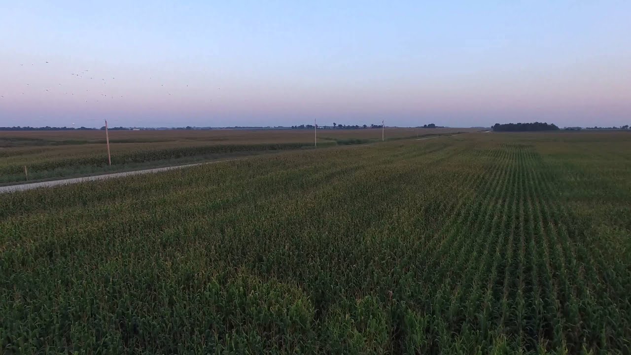 Iowa Sunsets and Cornfields - YouTube