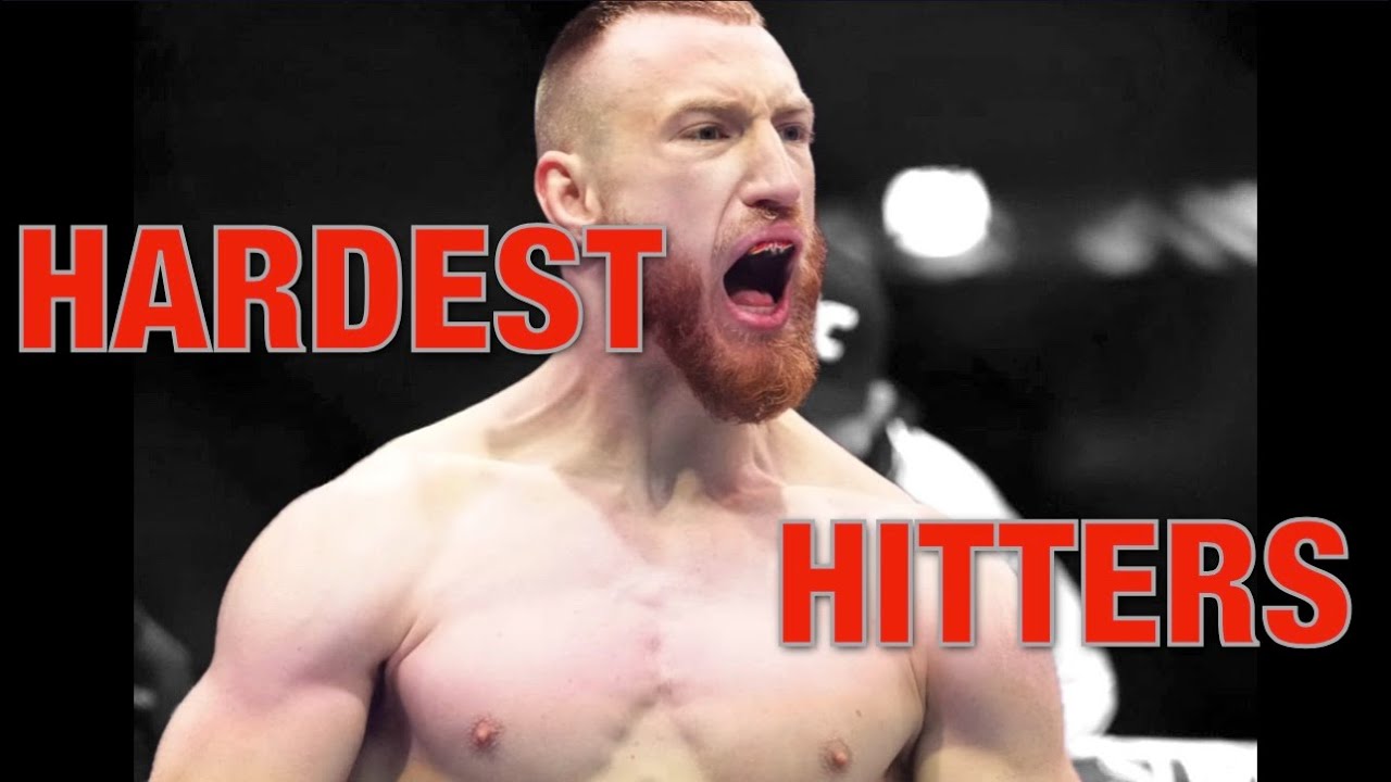 Hardest Hitting Fighters In Every Division of the UFC - YouTube